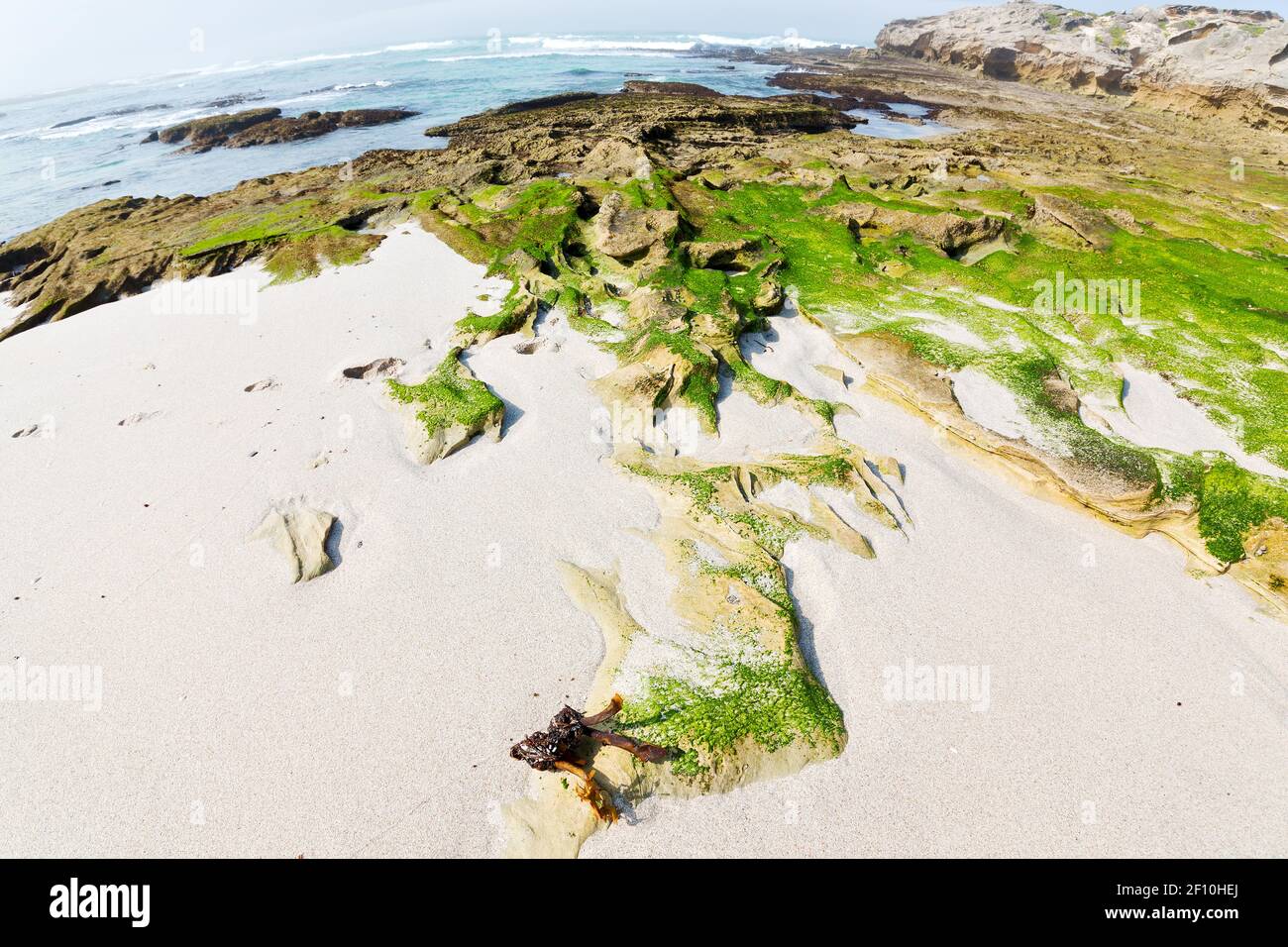 In south africa sky ocean reserve Stock Photo - Alamy