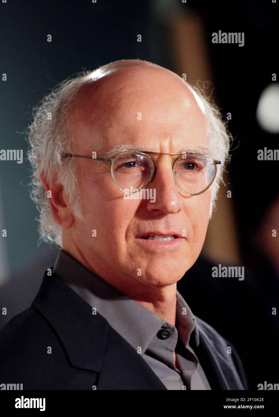 Larry David. 8 June 2009, West Hollywood, CA. Whatever Works Premiere ...