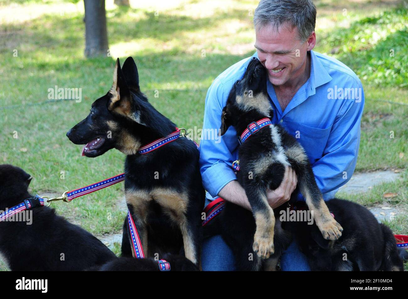 James symington dog hi-res stock photography and images - Alamy