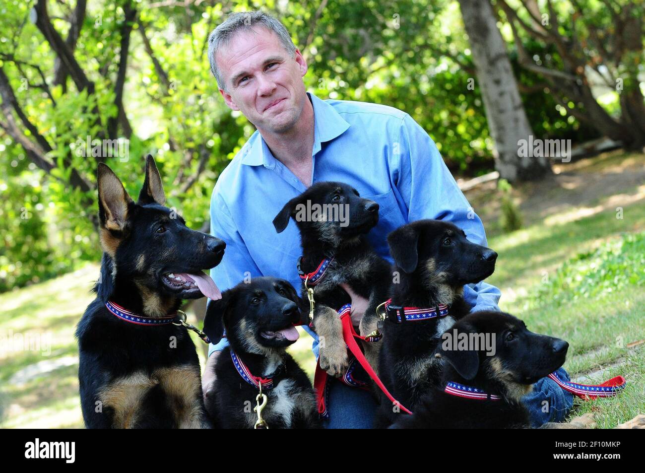 James symington dog hi-res stock photography and images - Alamy