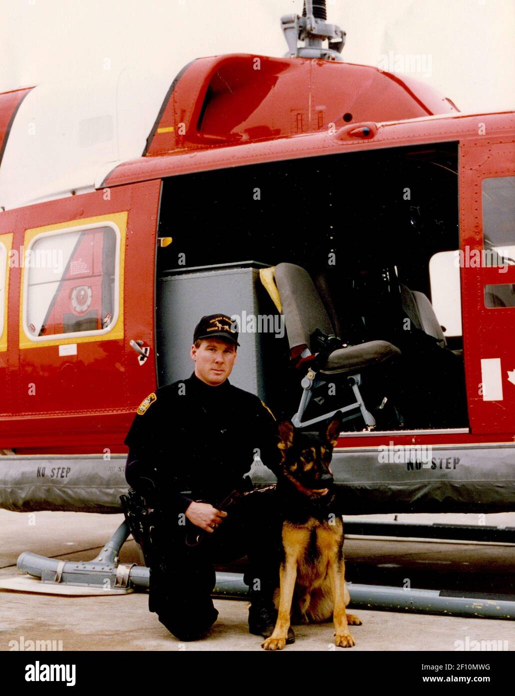 James symington dog hi-res stock photography and images - Alamy