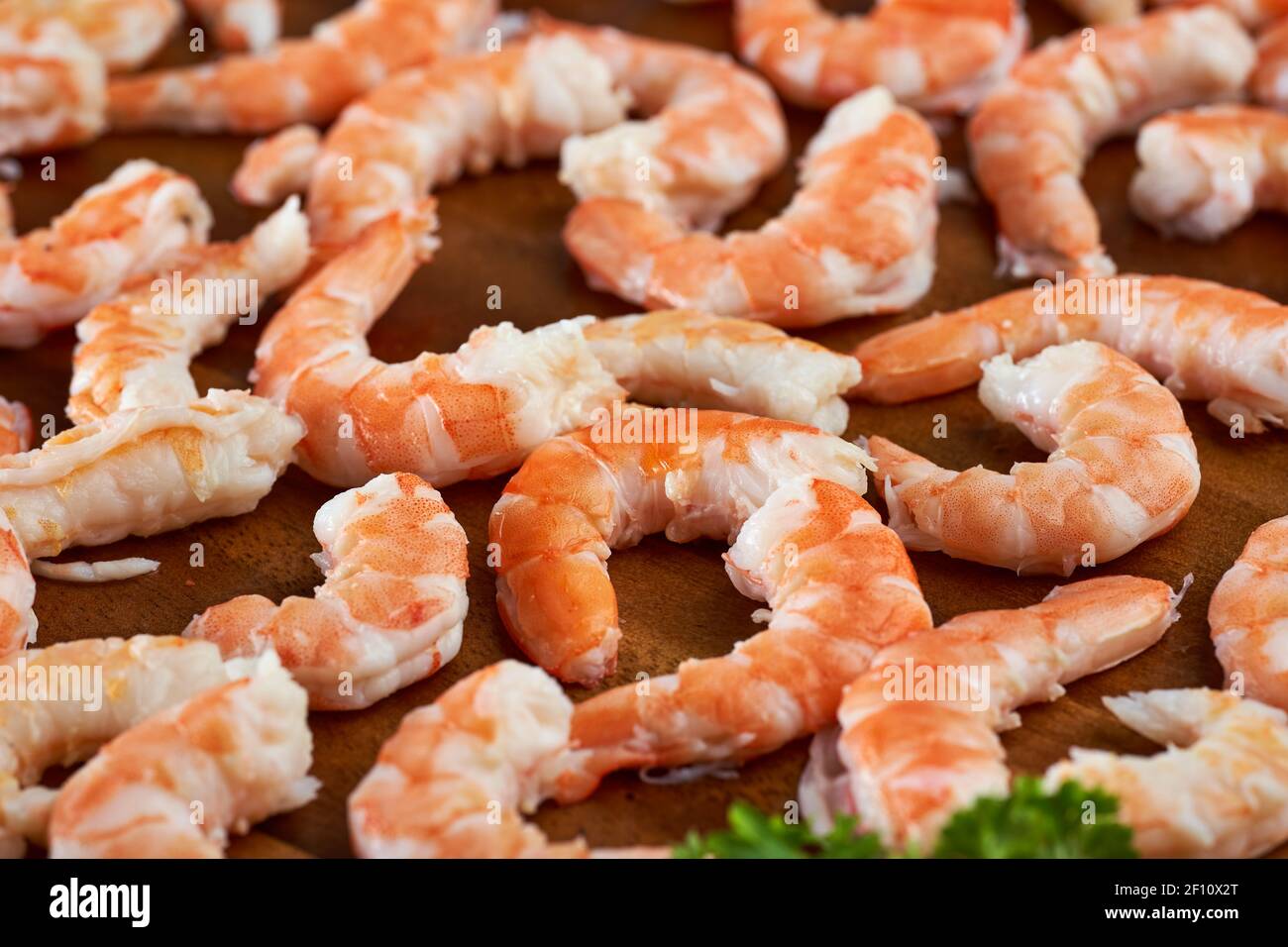 Captured prawn hi-res stock photography and images - Alamy