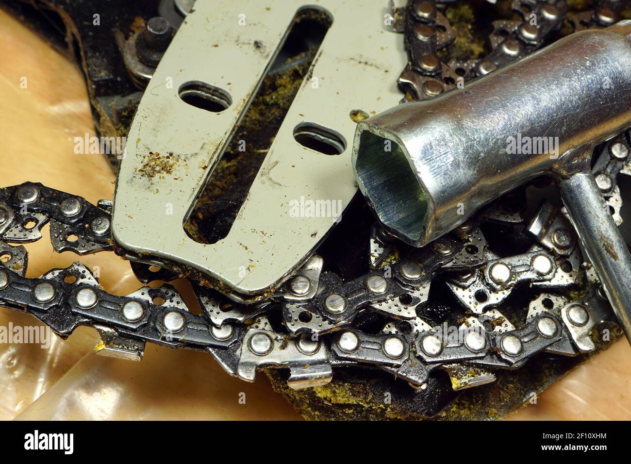 Chain and chain guide bar. Preparing the chainsaw for work. Component ...