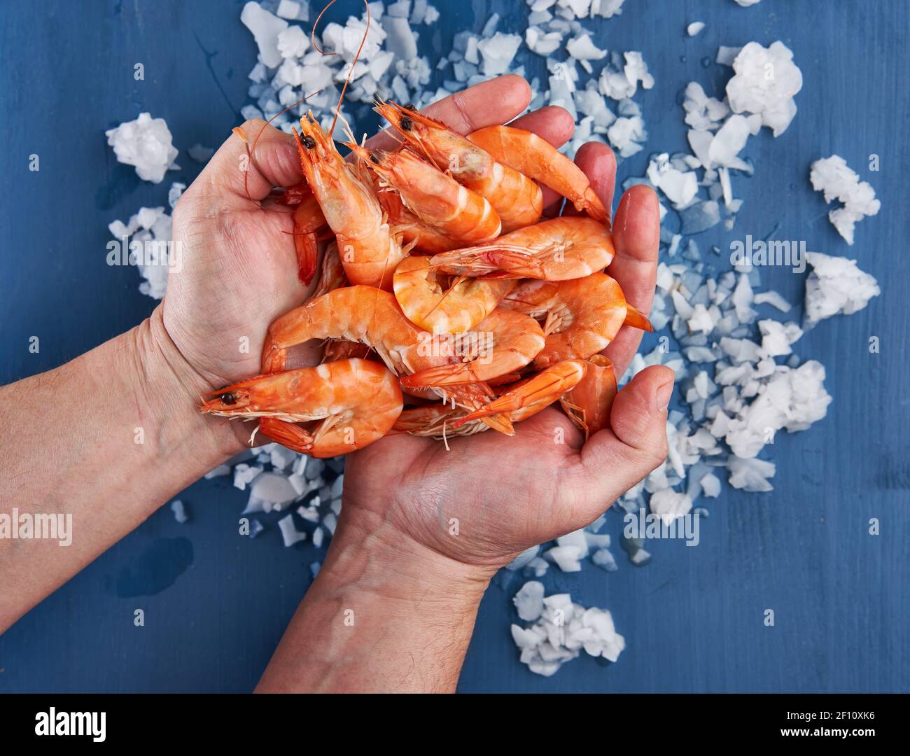 Hands holding shrimp hi-res stock photography and images - Alamy