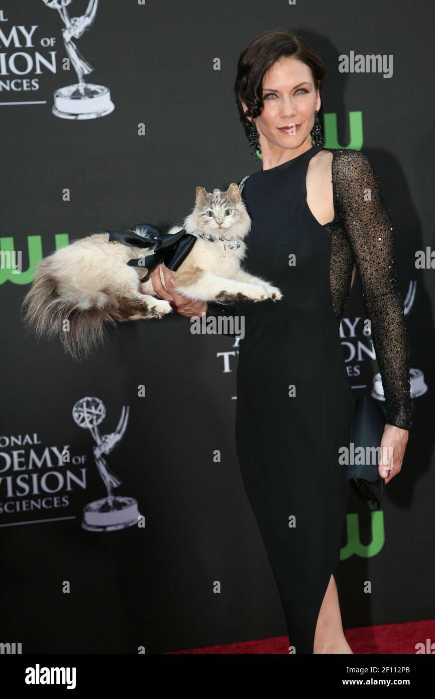 30 August 2009- Los Angeles, California- Stacy Haiduk and her cat ...