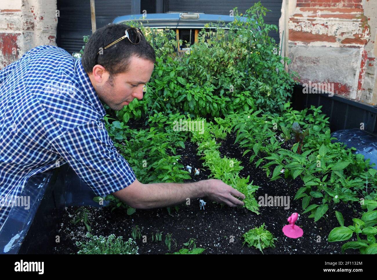 1 September 2009 - Brooklyn, NY - Ian Cheney and the 'Truck Farm' in ...