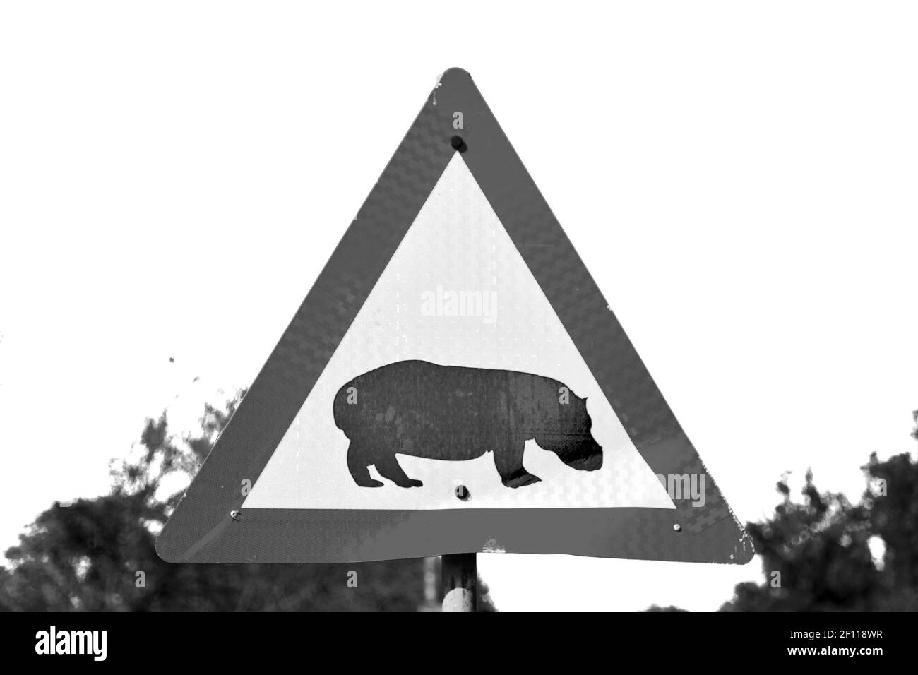 In south africa close up of the hippopotamus sign Stock Photo - Alamy