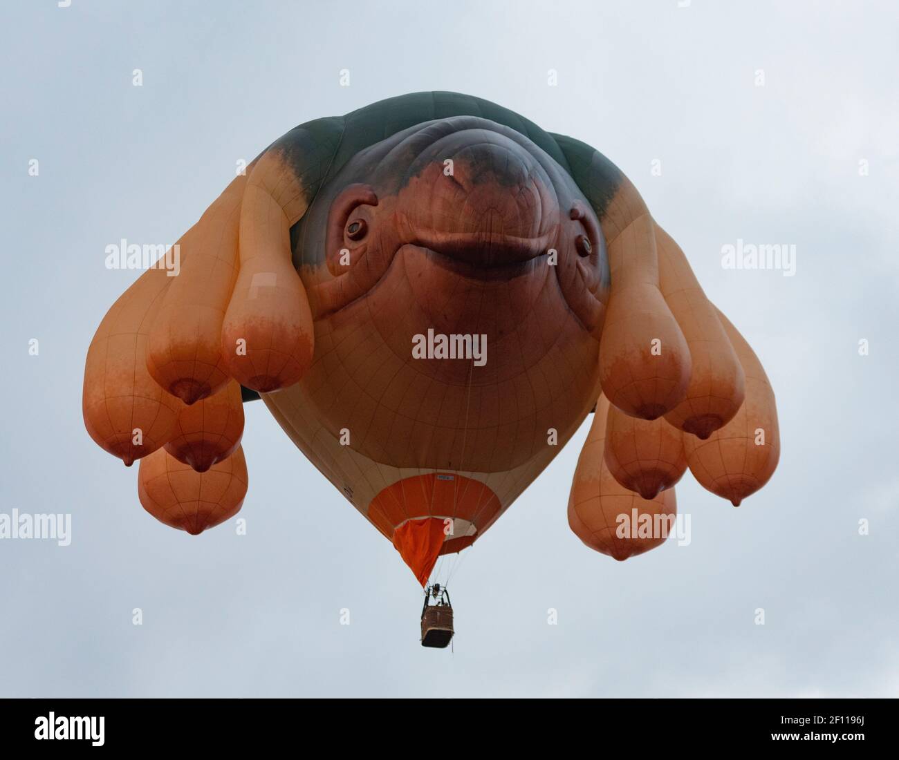 Canberra, ACT, Australia, 08 Mar 2021. The Skywhale is a hot air ...