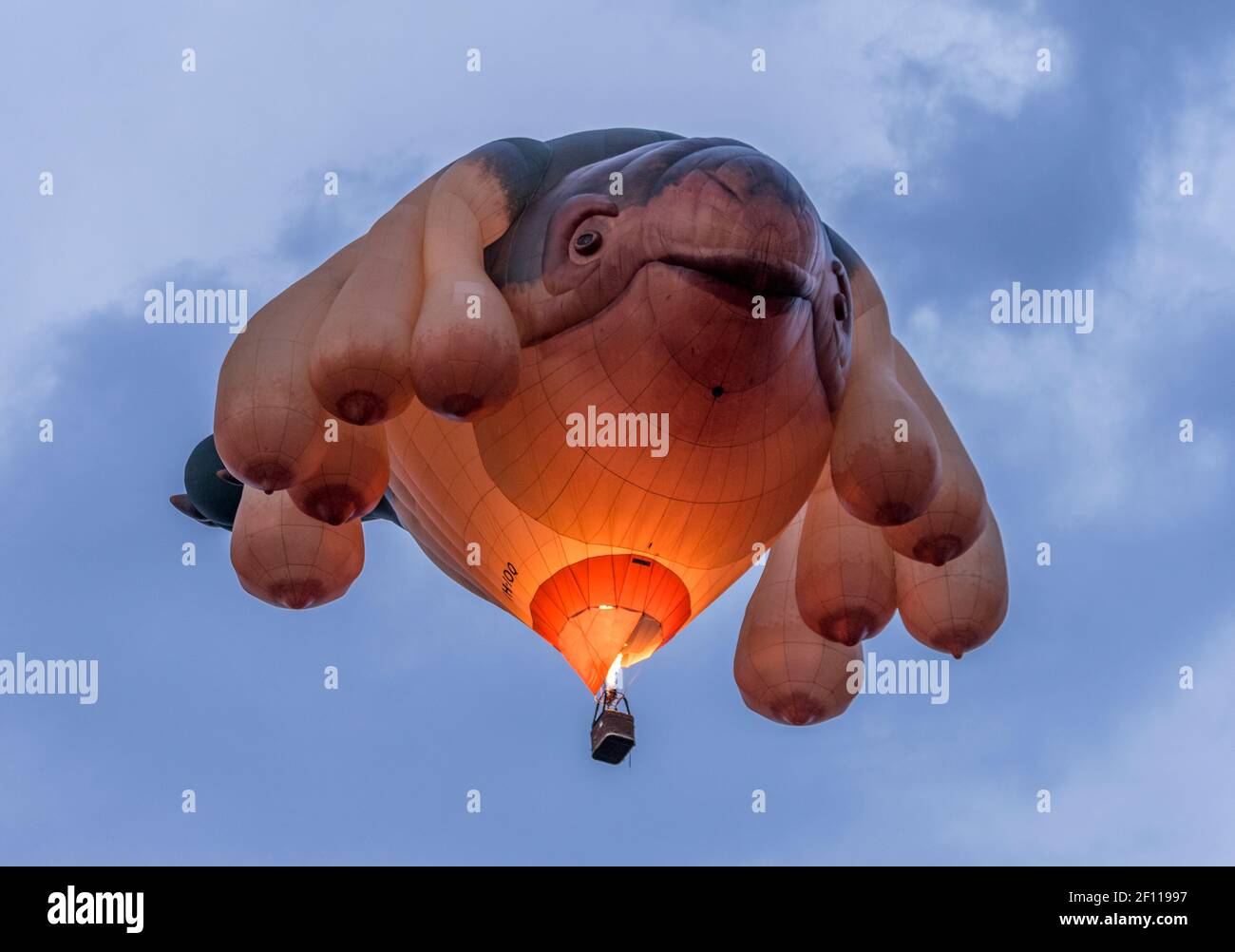 Balloon and whale hi-res stock photography and images - Alamy