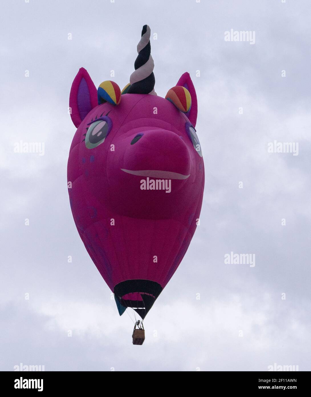 Canberra, ACT, Australia, 08 Mar 2021. Allycorn. Allycorn is the ...