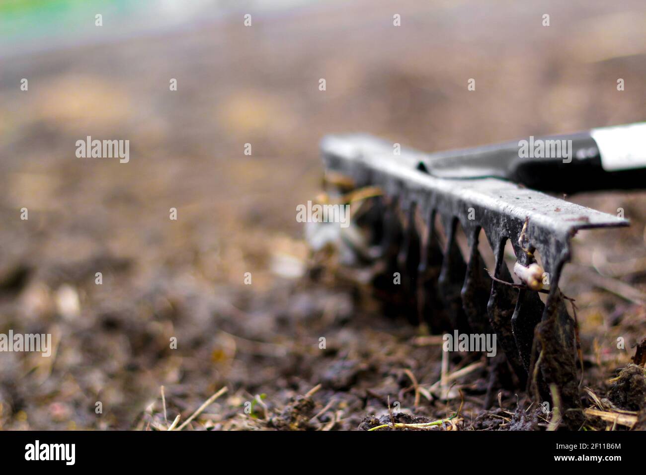 Planting pole hi-res stock photography and images - Alamy