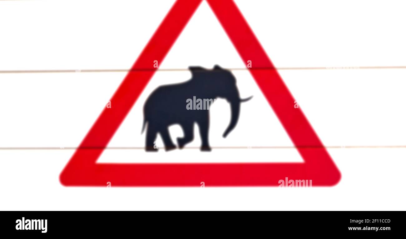 In south africa close up of the elephant sign Stock Photo - Alamy