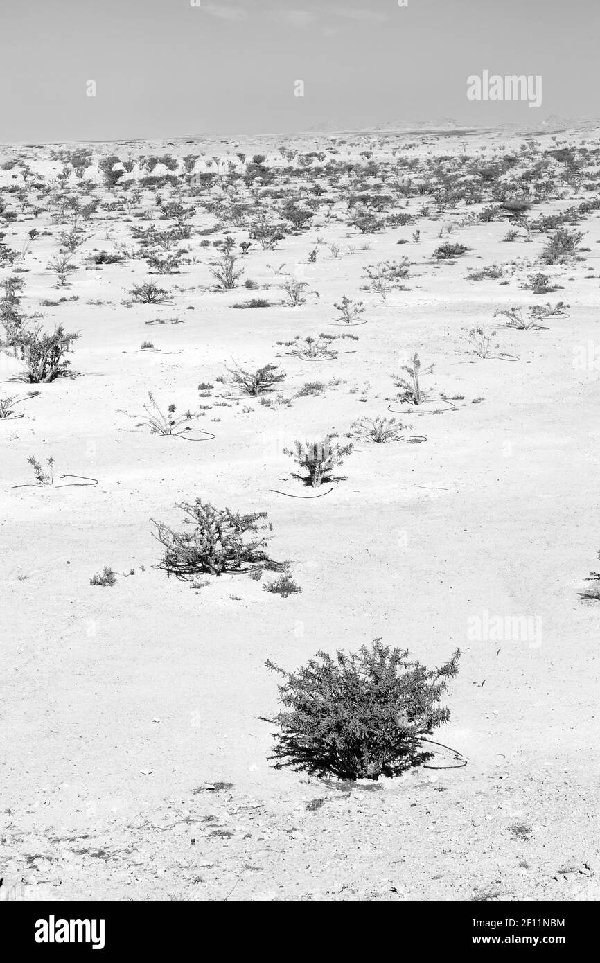 In oman old desert Stock Photo - Alamy
