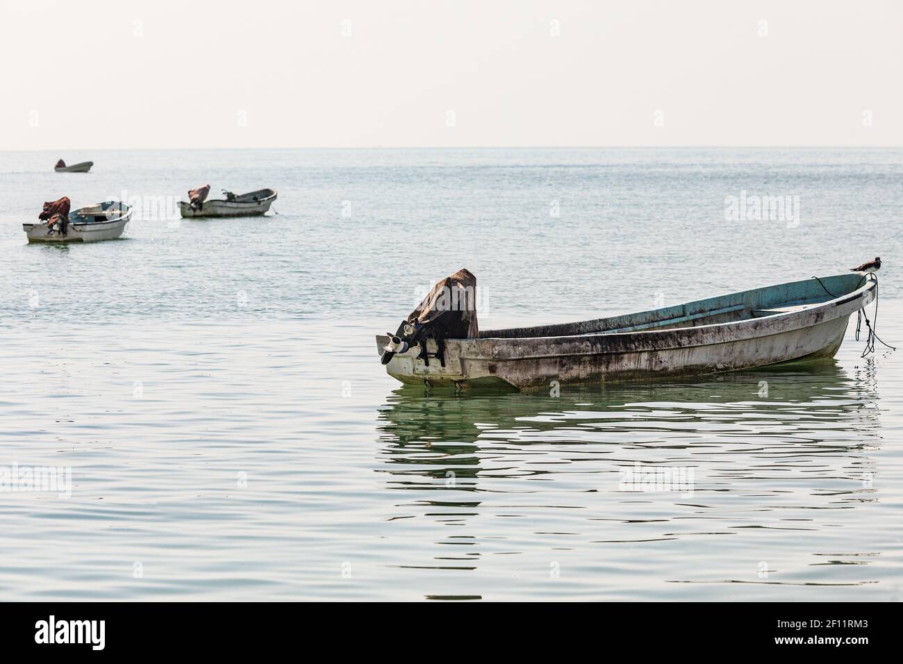 Middle East, Arabian Peninsula, Oman, Al Wusta, Mahout. Fishing boats ...