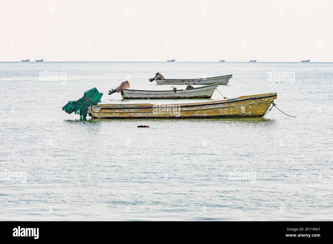 Middle East, Arabian Peninsula, Oman, Al Wusta, Mahout. Fishing boats ...