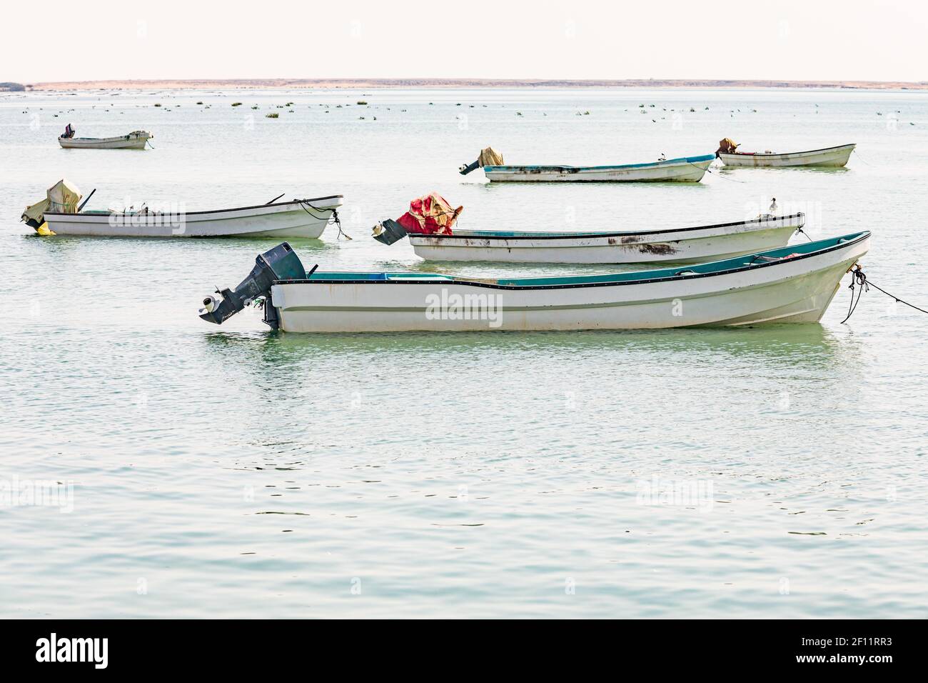 Middle East, Arabian Peninsula, Oman, Al Wusta, Mahout. Fishing boats ...