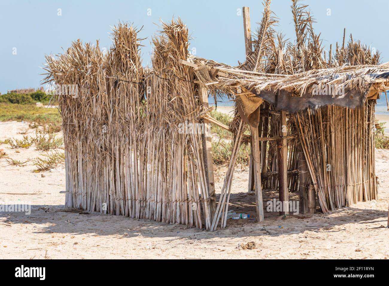Middle East, Arabian Peninsula, Oman, Al Batinah South, Mahout. A sun ...
