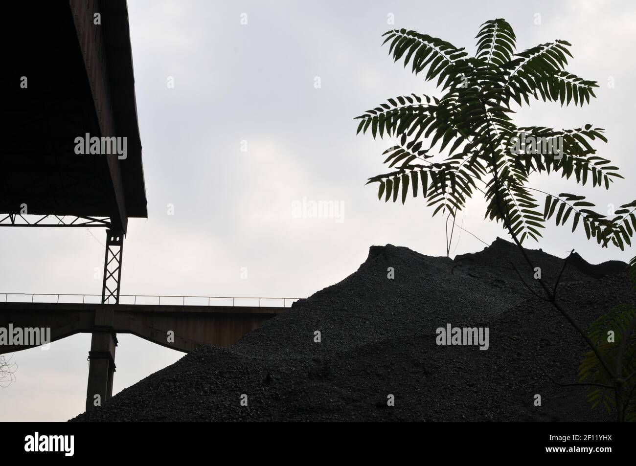 Coal outside a warehouse and a tree above it. (Photo by Raphael ...