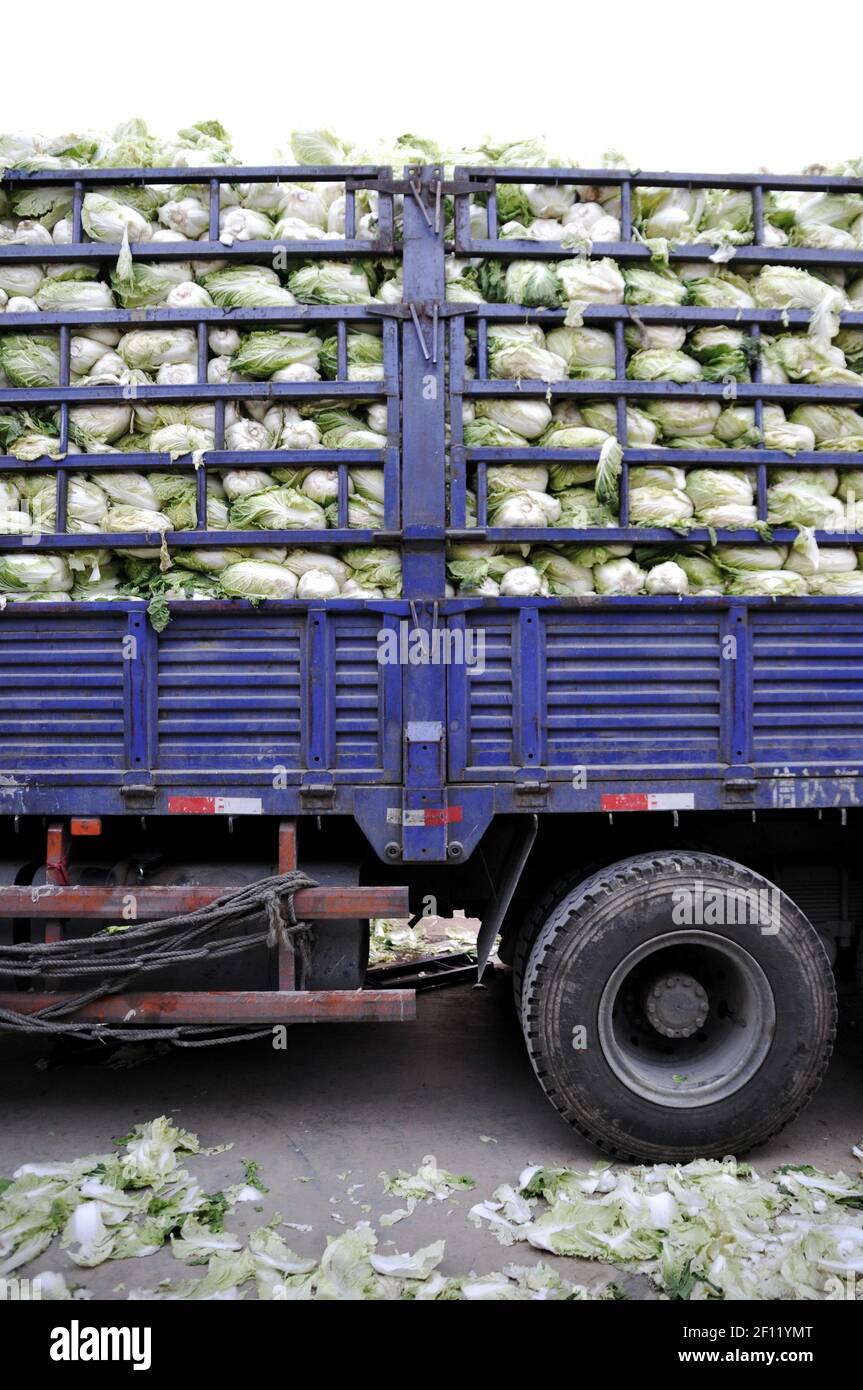 A truck loaded with cabbage has just parked on the market. (Photo by ...