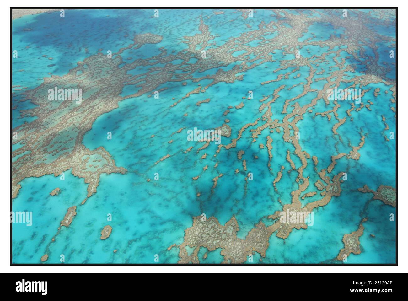Topography Of Great Barrier Reef