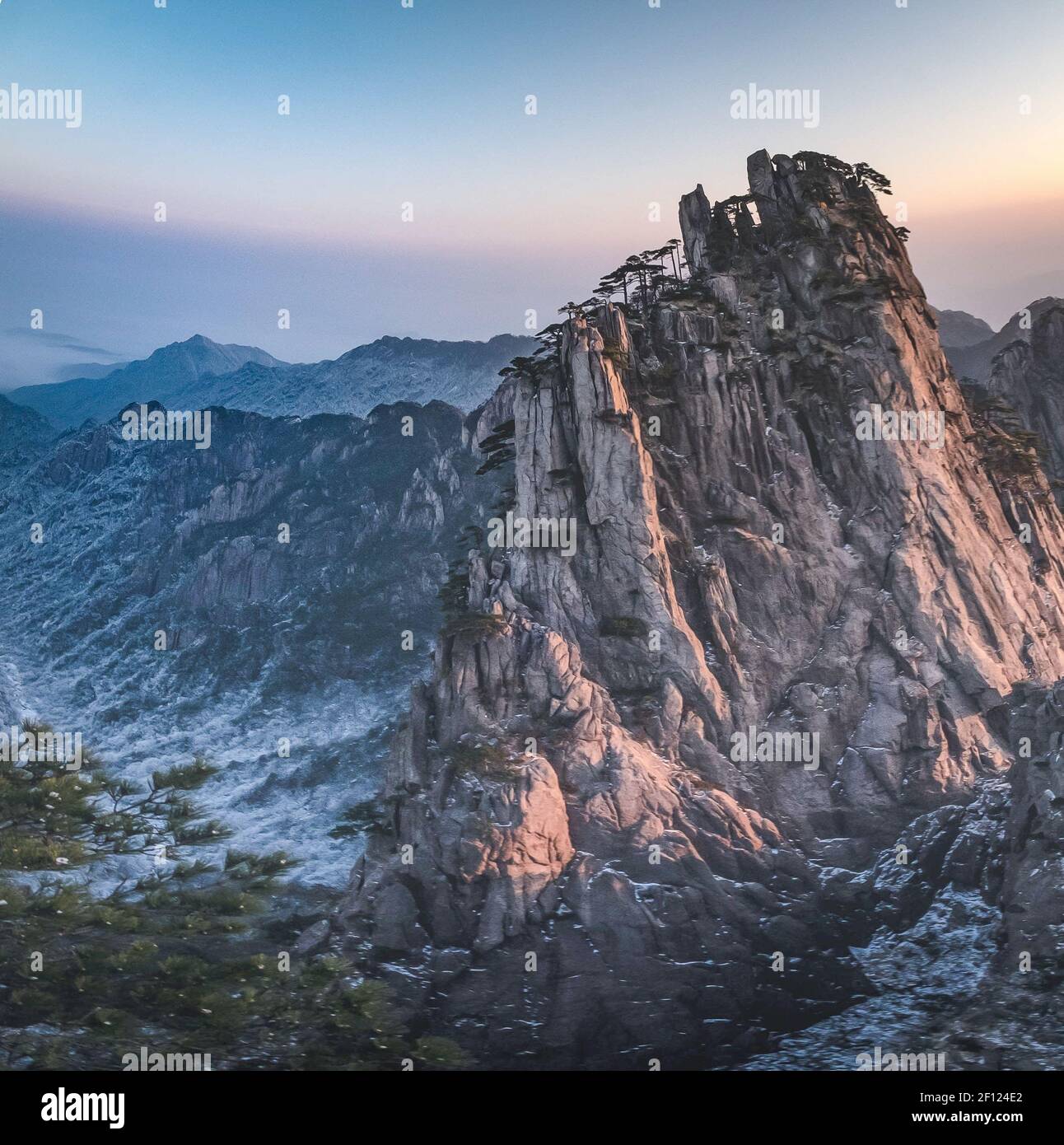 View of the clouds and the pine tree at the mountain peaks of Huangshan ...