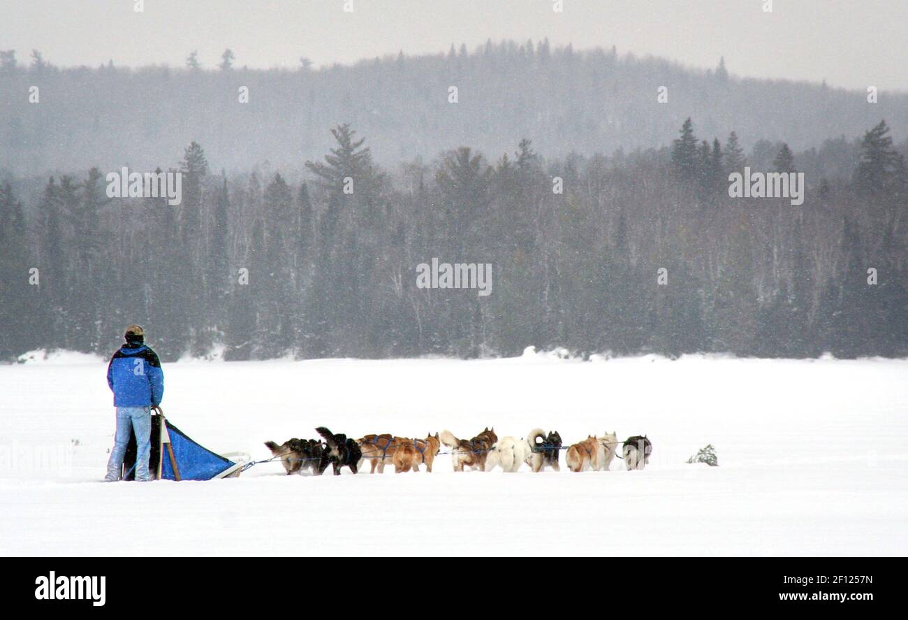 "Basswood" Bob Oliva, of Ely, Minnesota, mushes across Disappointment ...