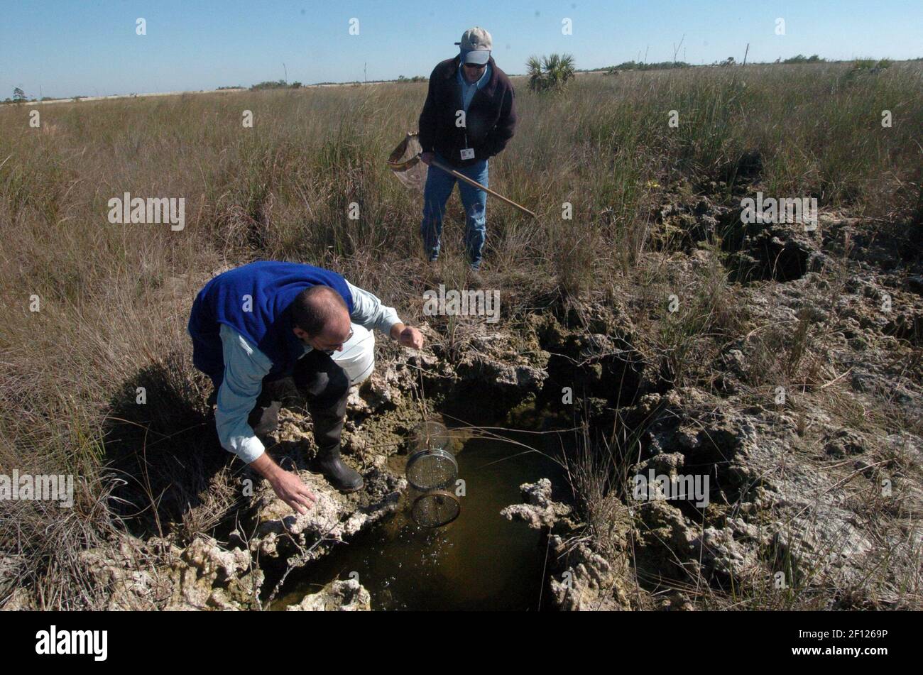 Fishery biologists Jeffrey Kline (left) and David Hallac (right) put ...