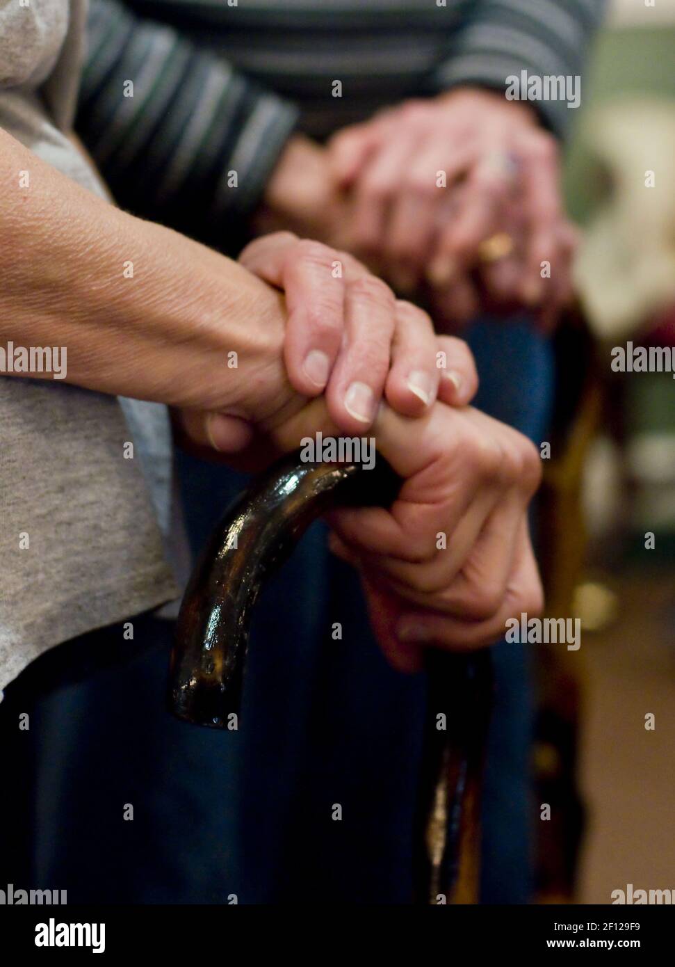 At Atria Merrywood Independent Living Center in Charlotte, North ...