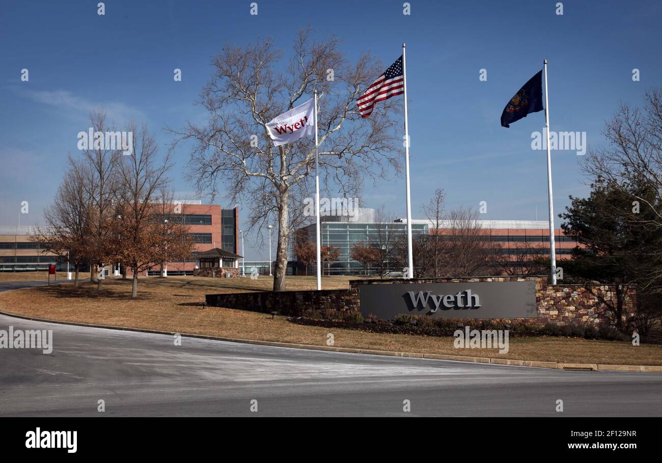 Pfizer Inc , the world's largest drugmaker, is in talks to buy Wyeth ...