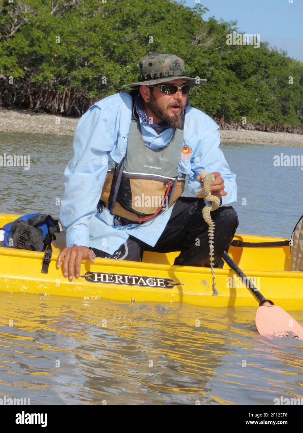 Kayak guide Jason Sine holds the egg case for a lightning whelk, a type ...