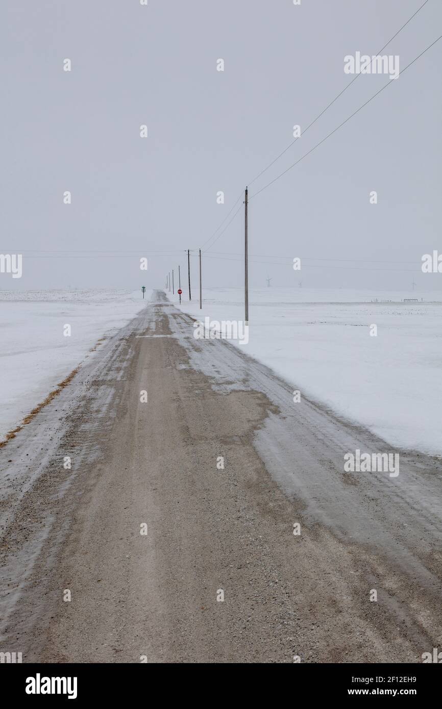 Rural Indiana road, Winter, Indiana USA, by James D Coppinger/Dembinsky ...