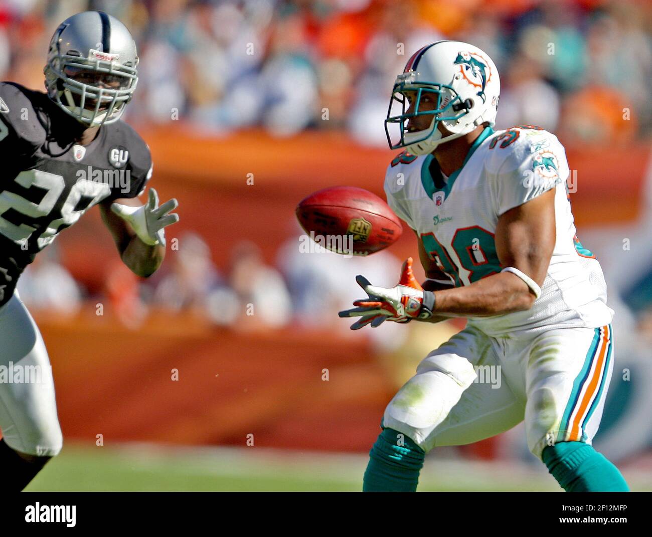 Miami Dolphins running back Patrick Cobbs catches a nine-yard pass in ...