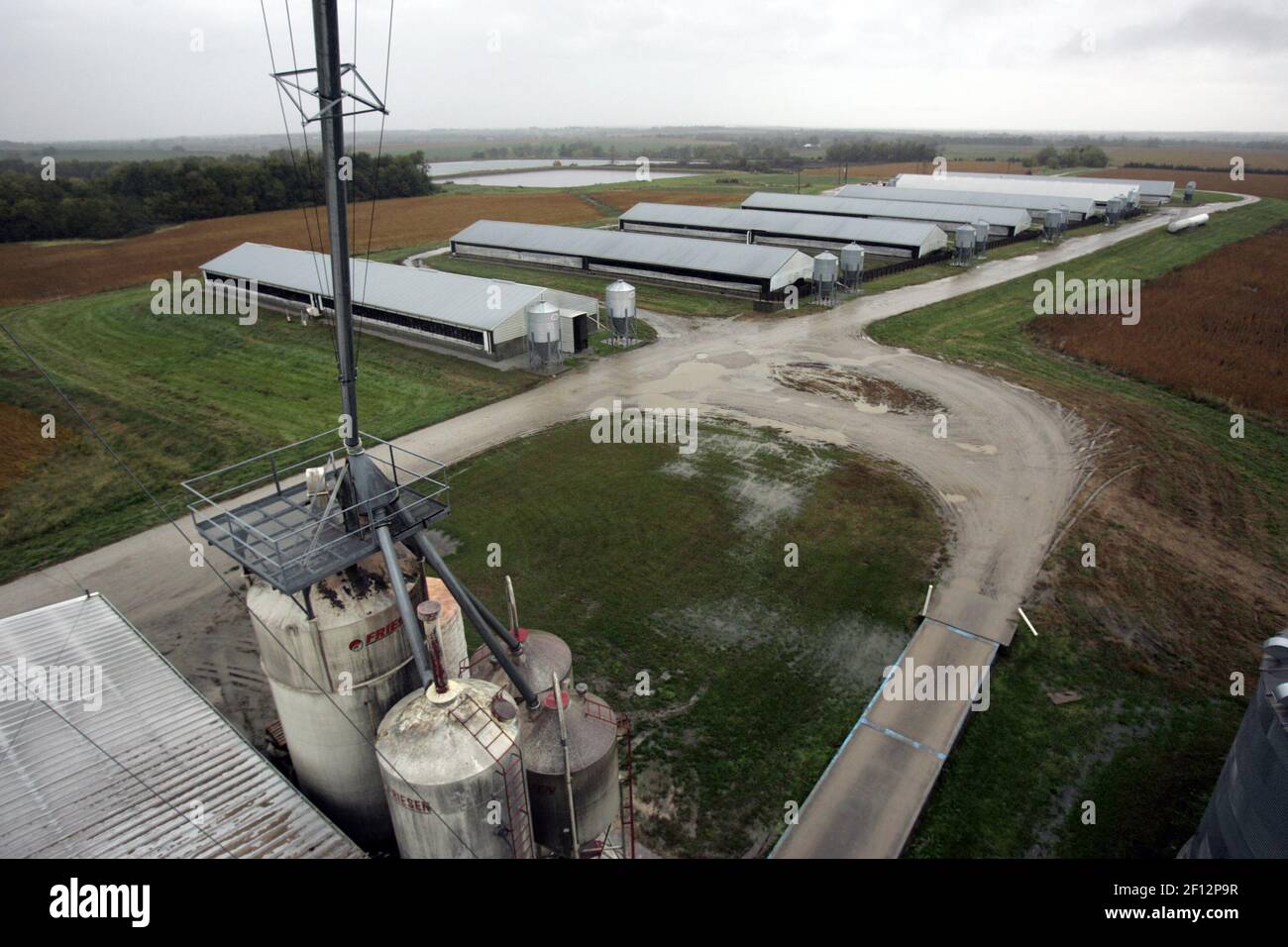 Scott Phillips and his brother, Martin Phillips, operate Phillips ...