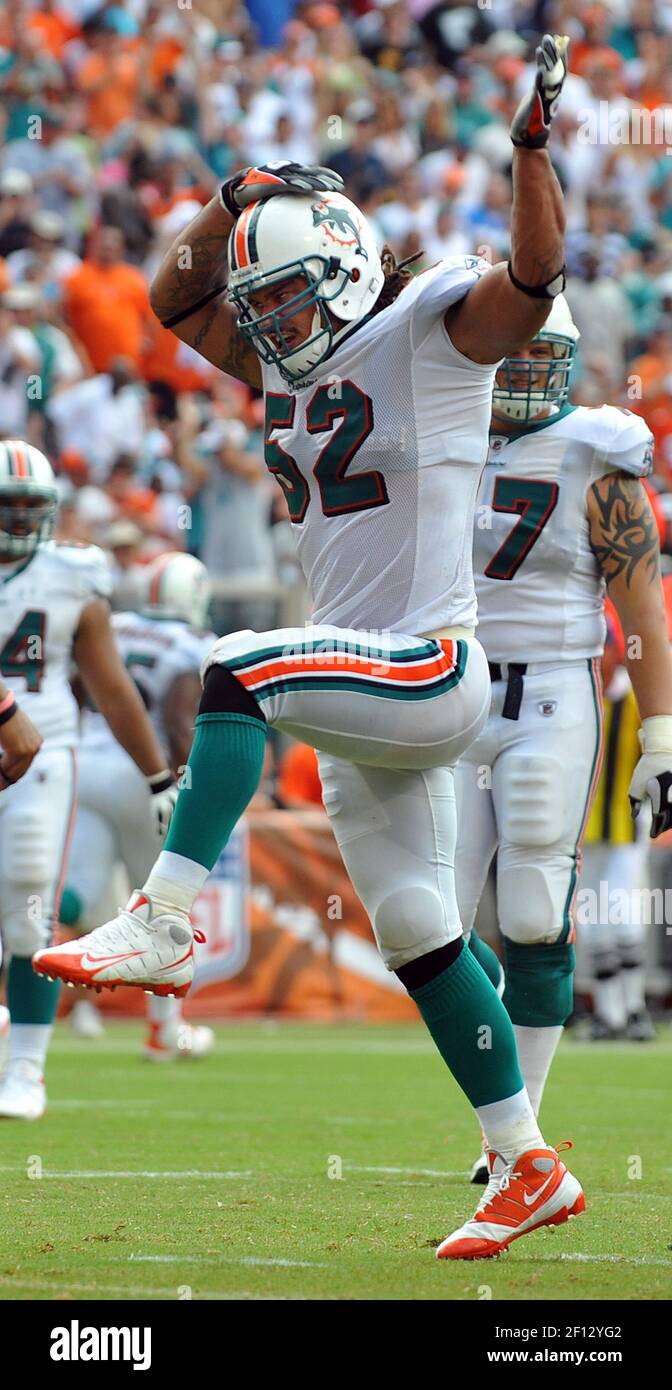 Miami Dolphins linebacker Channing Crowder celebrates the Dolphins ...