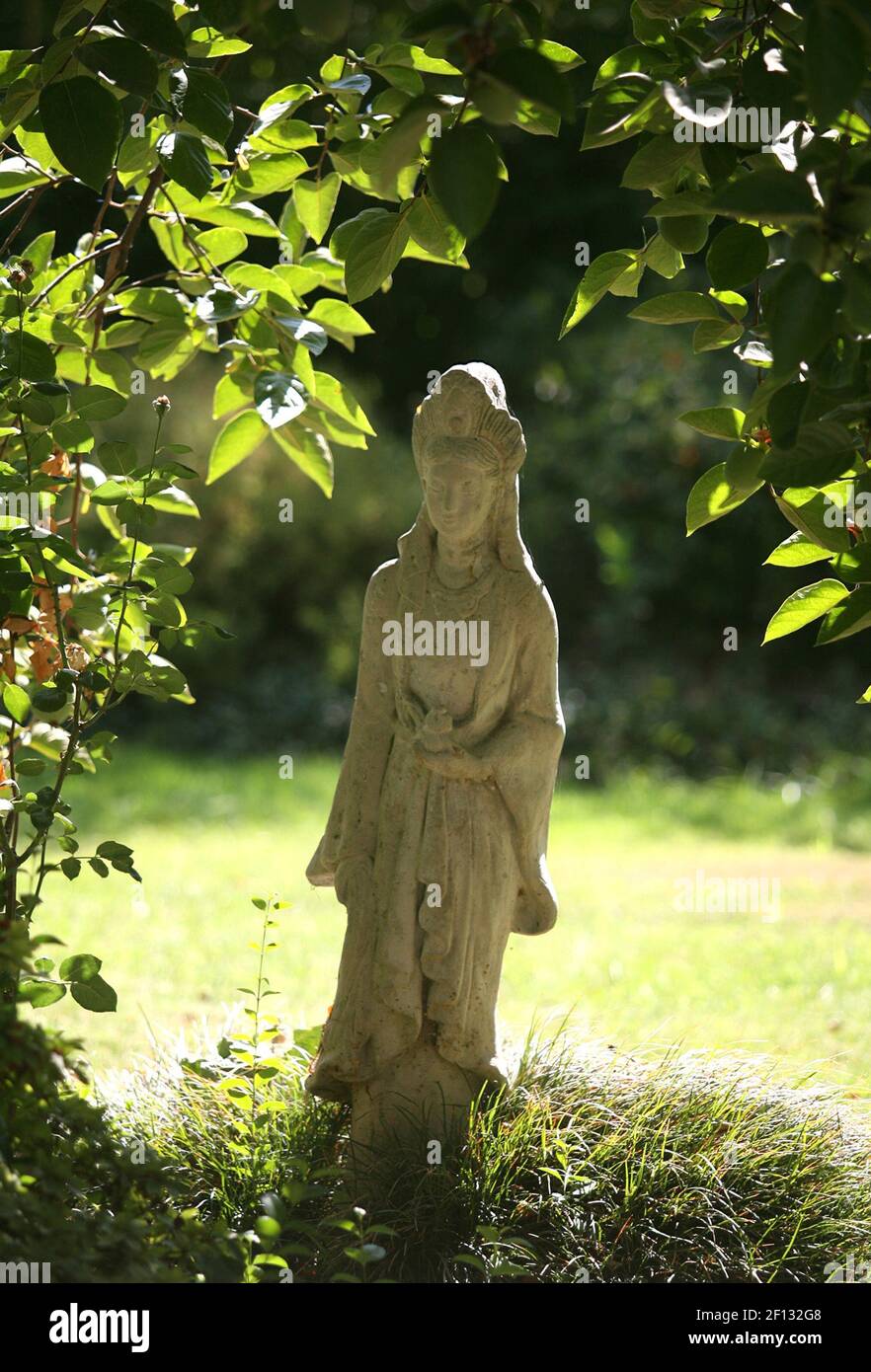 Statue of "Quan Yin," Chinese god of mercy, under a persimmon tree, is ...
