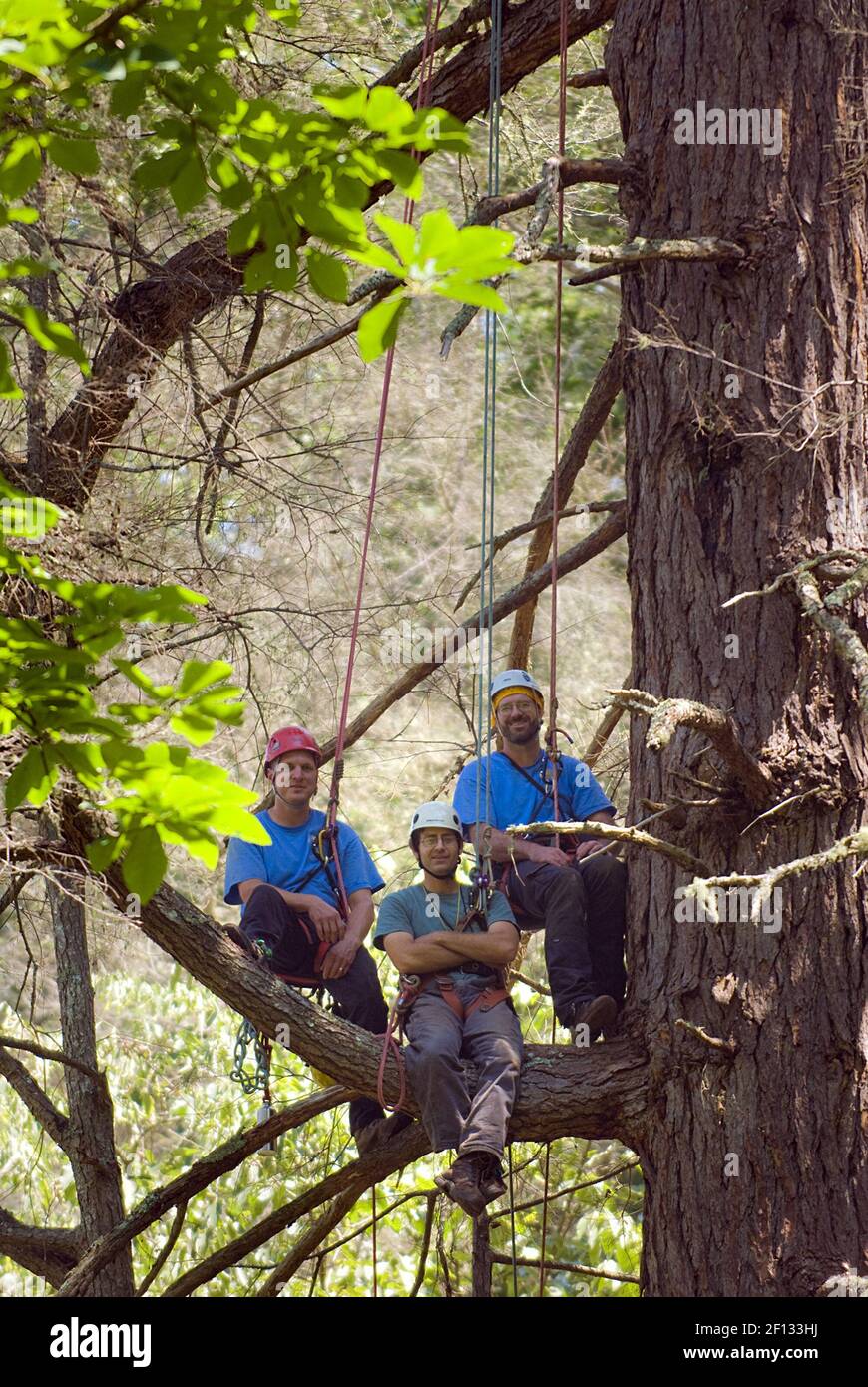 Brian Hinshaw (left), Jason Childs (center) and Will Blozan are ...