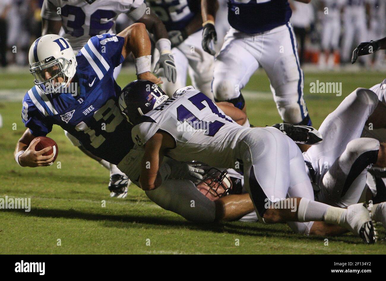 Bulldogged hi-res stock photography and images - Alamy