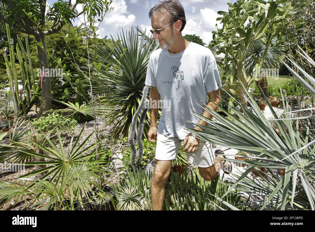 Harvey Bernstein steps carefully through his South Miami front yard ...