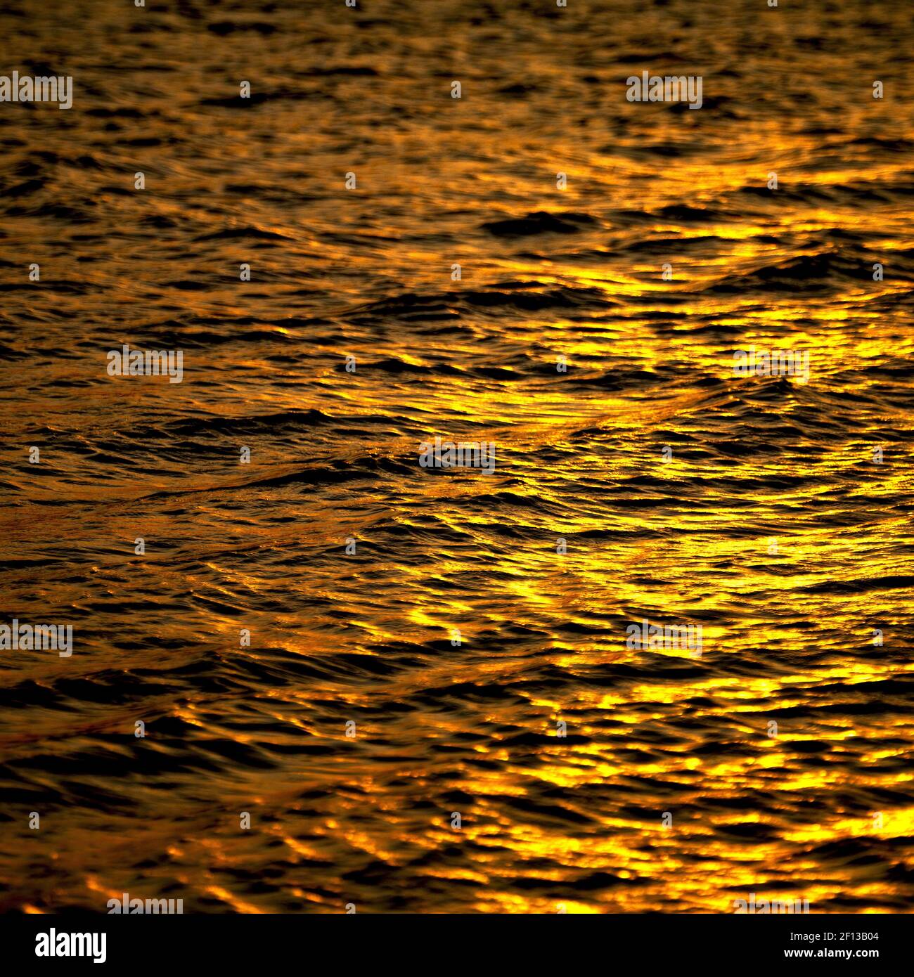 In south africa sea indian ocean Stock Photo - Alamy
