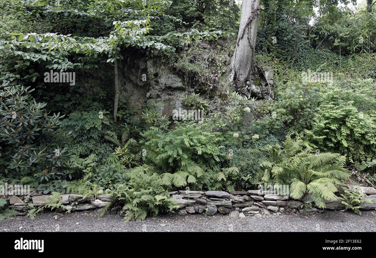 Mark Isaksen and Daniel Walth garden along their rocky cliff in Wyncote ...