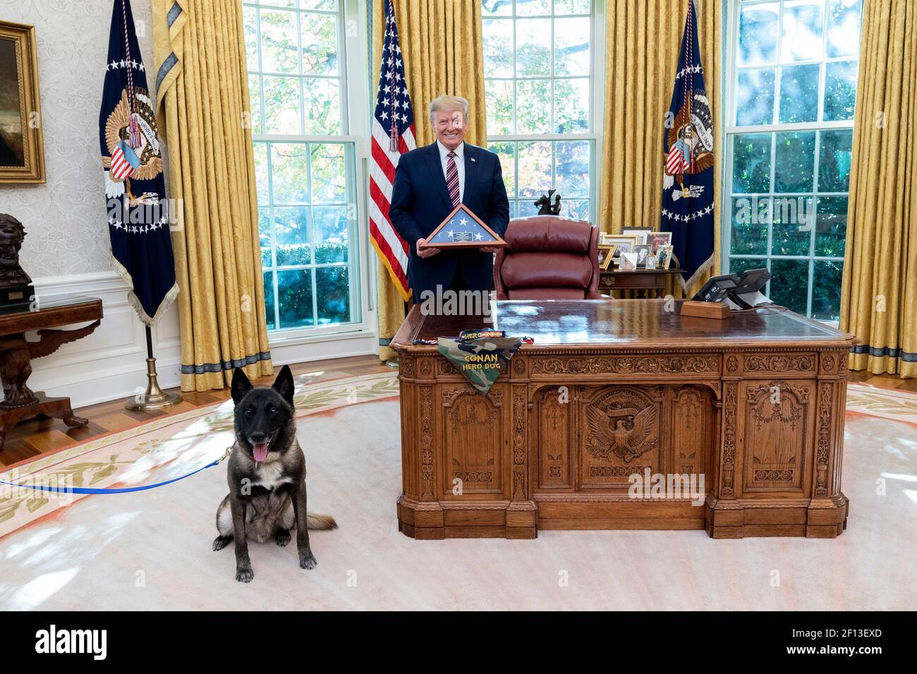 President Donald Trump welcomes Conan the military working dog to the ...