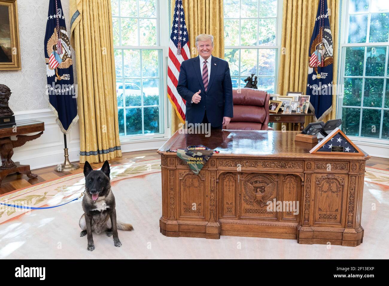 President Donald Trump welcomes Conan the military working dog to the ...