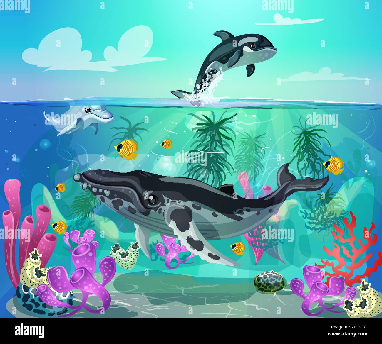 Cartoon colorful sea life background with gray whale dolphin orca ...