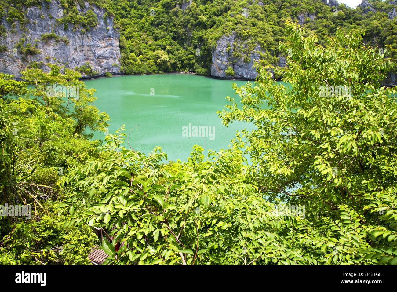 Coastline of green lagoon and tree south china Stock Photo - Alamy