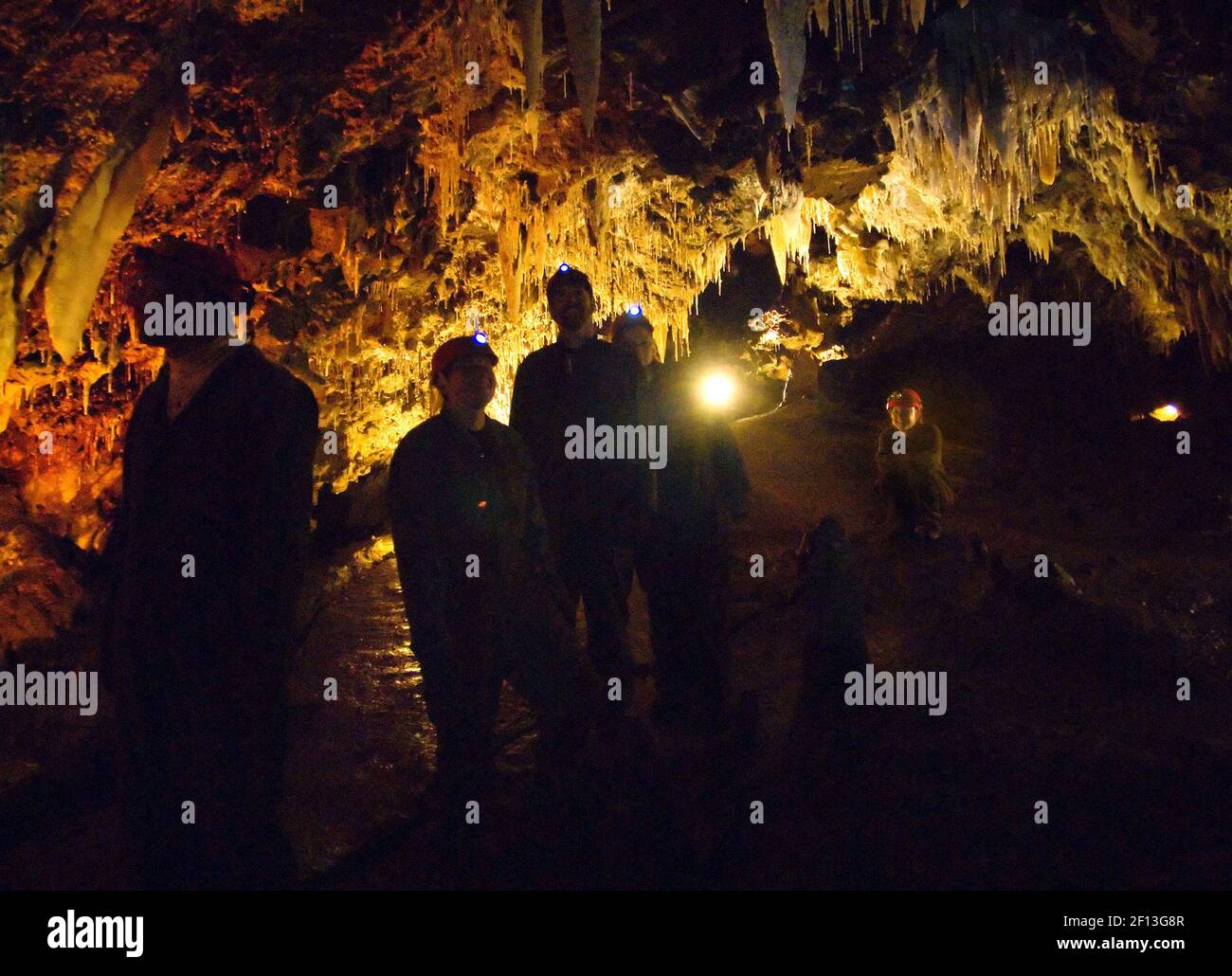 From left, John Talcott, Carolyn Talcott, Michael Stadler, Alethea ...