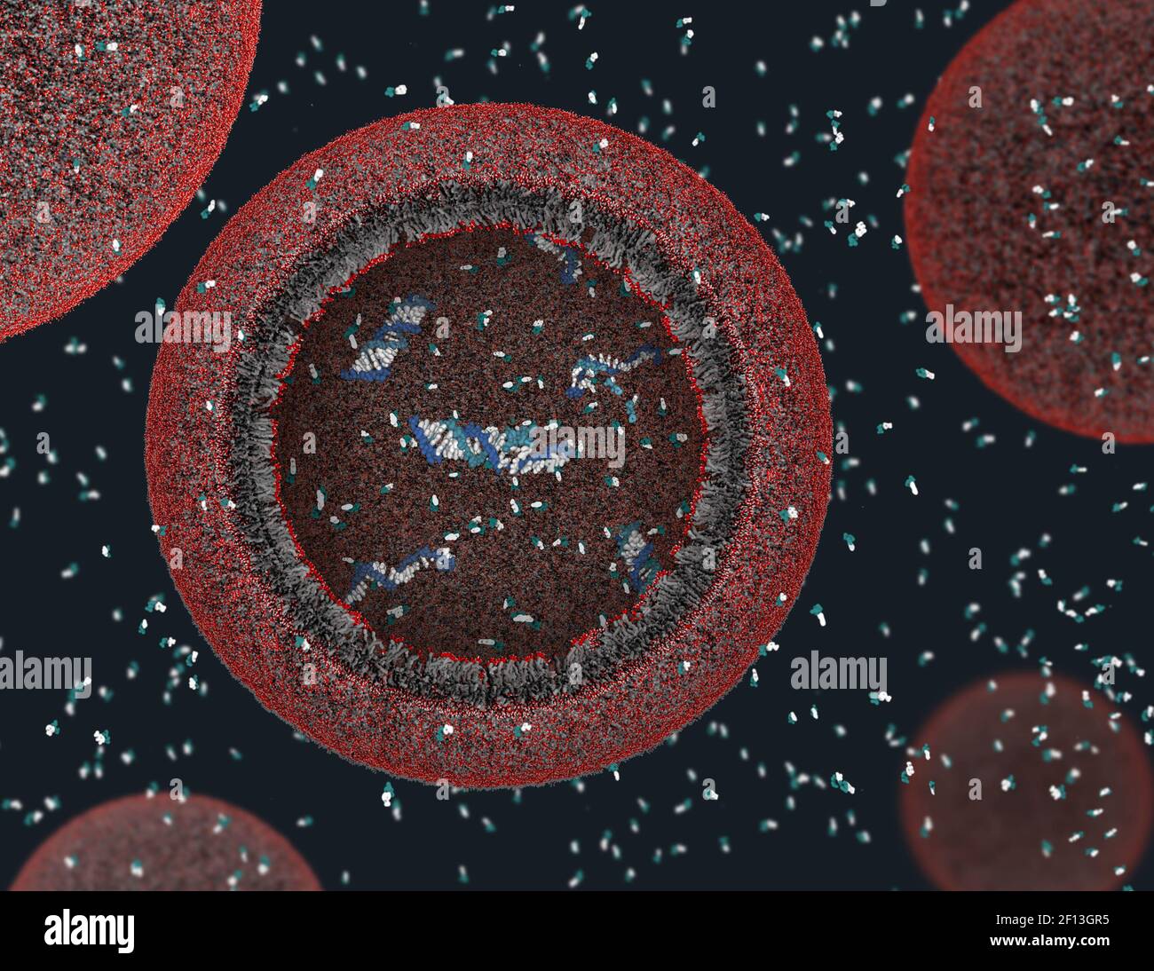 A model "protocell" assembled by artificial life researcher Jack ...