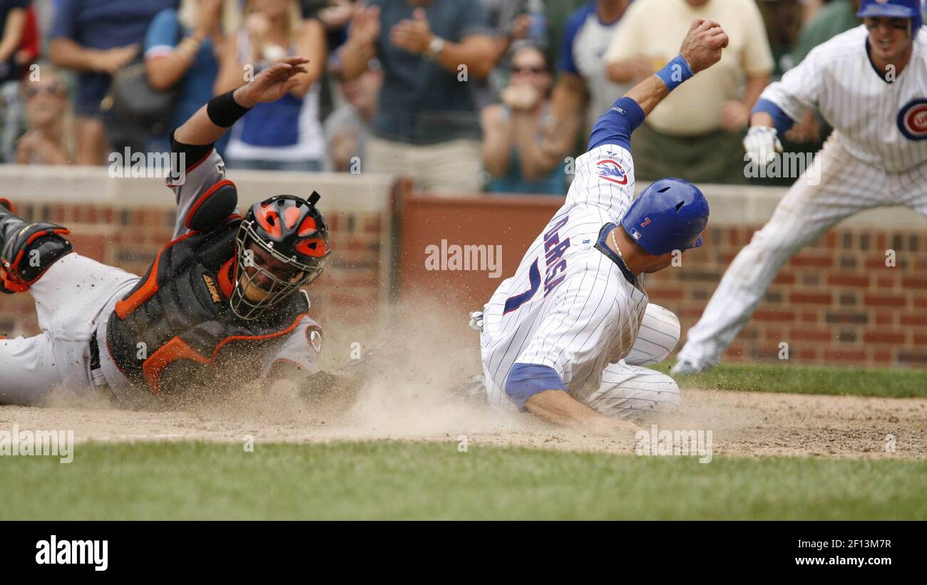 Chicago Cubs' Mark DeRosa (7) scores past San Francisco Giants catcher ...