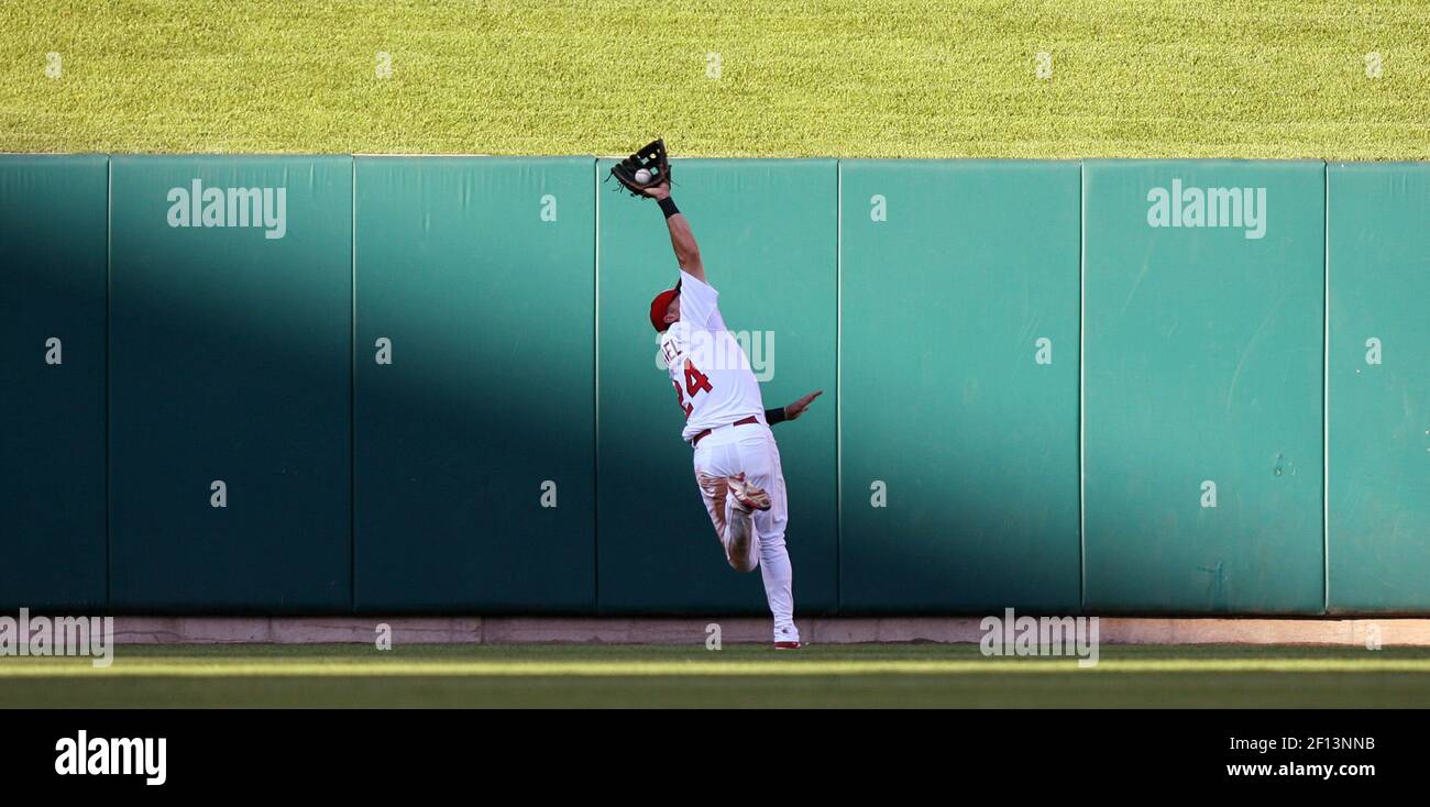 St. Louis Cardinals center fielder Rick Ankiel catches a fly ball off ...