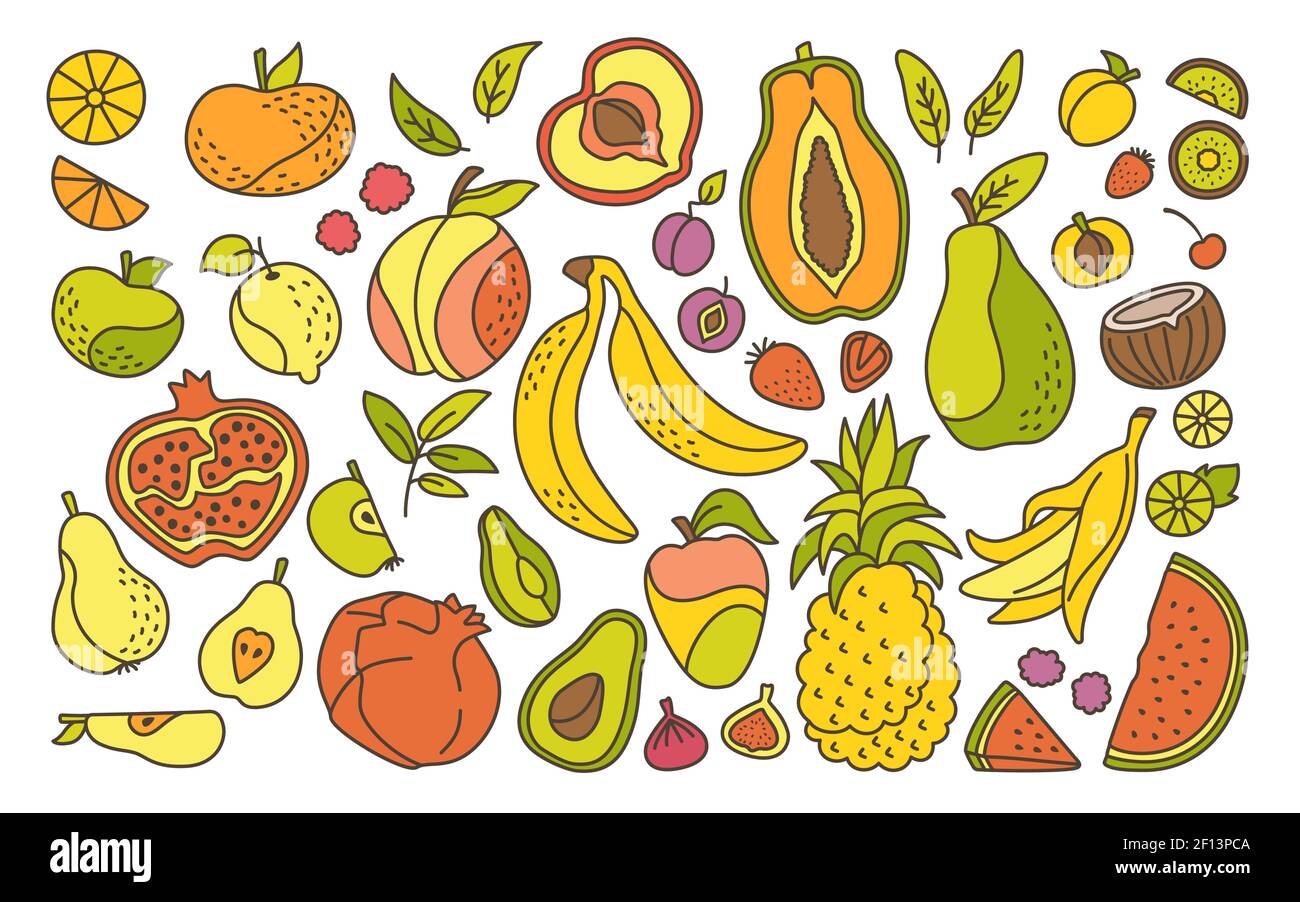 Exotic hawaiian fruit cartoon line set. Tropical fruit, pineapple ...