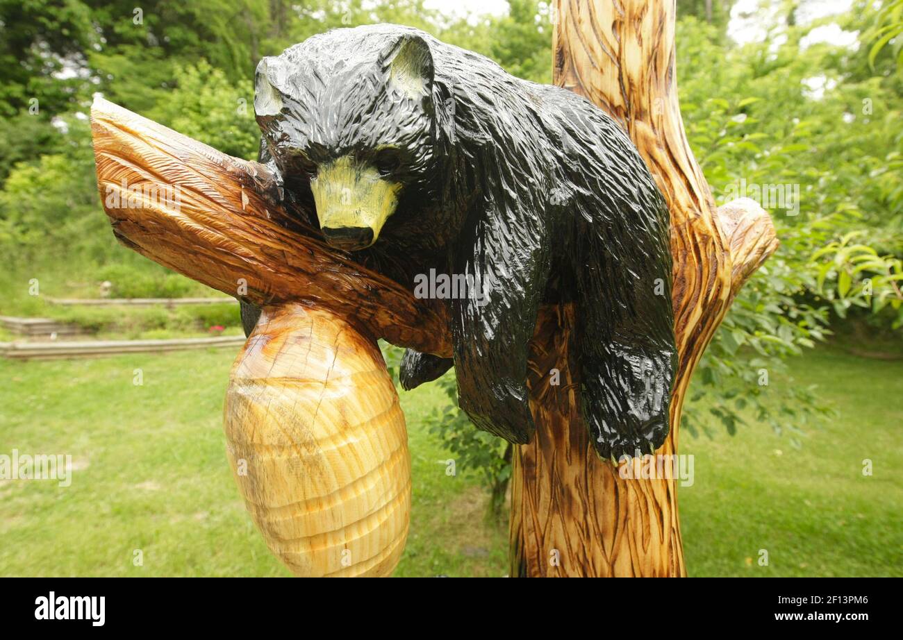 A detailed view of a bear looking for some honey wad carved by chainsaw ...